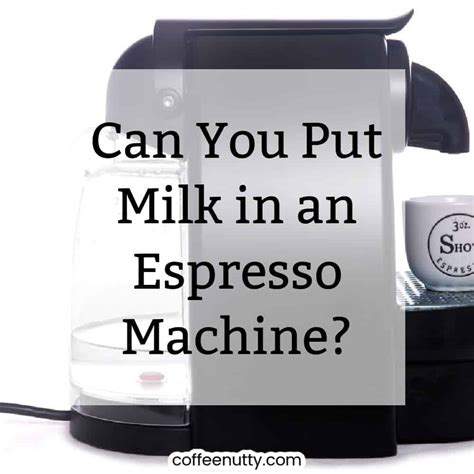 Can You Put Milk In A Nespresso Machine Coffeenutty Com