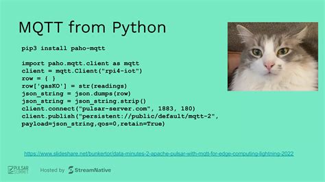 Apache Pulsar Development 101 With Python PPT