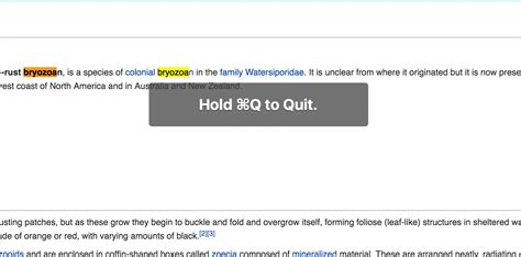 100 Essential Mac Keyboard Shortcuts