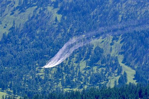 Богдхан уулын дархан цаазат газрын 3000 га газарт ойн хөнөөлт хортон шавжтай тэмцэх ажил хийгдэнэ