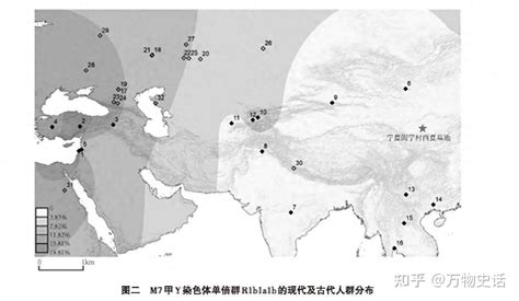 西夏后族野利氏单倍群为R1b或为匈奴后裔西夏王族单倍群为D1a 知乎