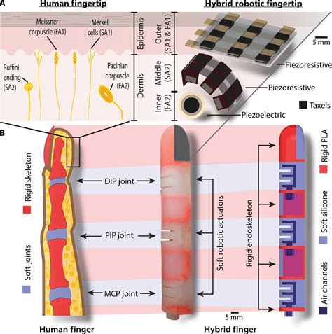 A Natural Biomimetic Prosthetic Hand With Neuromorphic Tactile Sensing