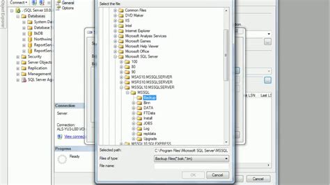 Sql Dersleri Backuprestore Youtube