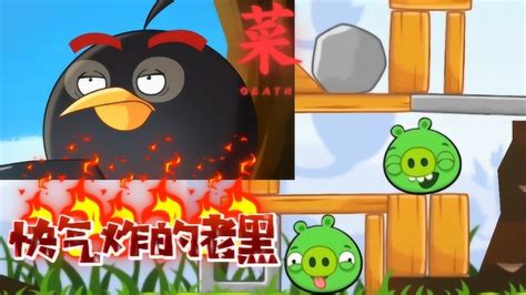 愤怒的小鸟:小黑玩游戏太菜,还被绿皮猪们嘲笑了高清1080p在线观看平台腾讯视频 愤怒的小鸟:小黑玩游戏太菜,还被绿皮猪们嘲笑了高清1080p在线观看平台腾讯视频