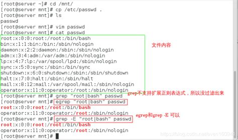 Grep 文本过滤命令grep过滤指定字段 Csdn博客