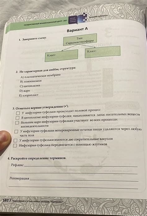 помагите пожалуйста все вопросы Школьные Знания Com