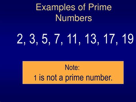Prime Numbers Examples