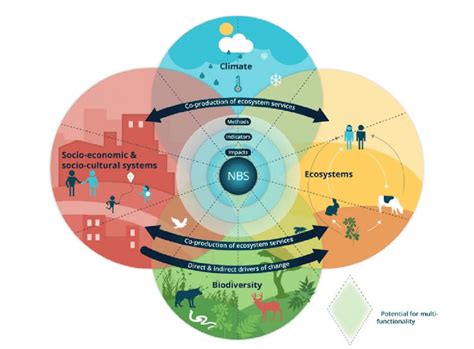 Framework Illustrating The Relationships Among Elements Of Biophysical