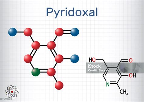 피리독살 분자 비타민 B6의 형태입니다 분자 모델 골격 화학식과 분자 모델 새장에 종이 한 장입니다 벡터 0명에 대한 스톡 벡터 아트 및 기타 이미지 Istock