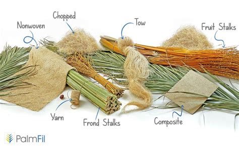 aliaa elabd ph d posted on linkedin