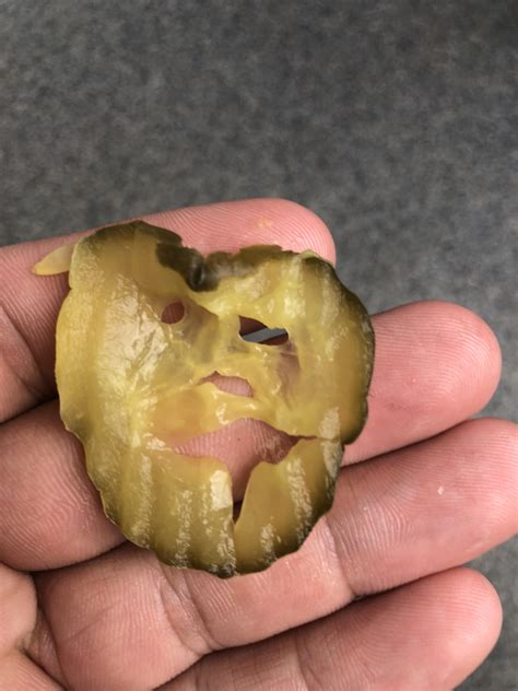 My Pickle Has A Face Rpics