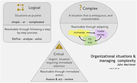 Organisations And Managing Making Sense Of Complexity