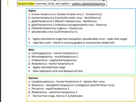 Virology Lecture 4 For Exam 2 Flashcards Quizlet