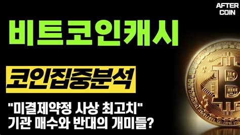 비트코인캐시 전망 미결제약정 사상 최고치 기관 매수와 반대의 개미들 비트코인캐시분석 비트코인캐시코인 비트코인캐시대응 Youtube