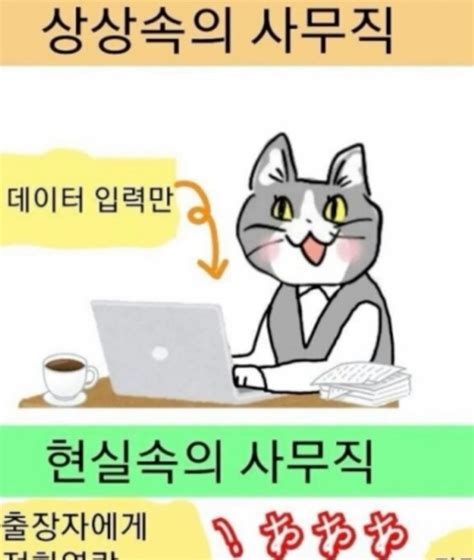 상상속 사무직 Vs 현실속 사무직 … 2024 웃긴 밈 웃긴 유머