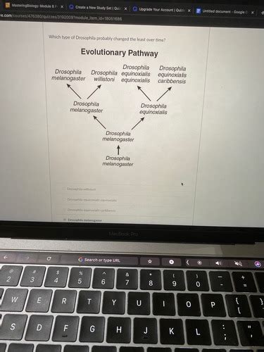Biology 2 Midterm Flashcards Quizlet