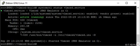 Kms Windows Office Debian Linux Vlmcsd