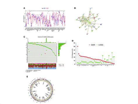 Genetic Mutation Landscape Of Args In Ova Expression Pattern Of Args