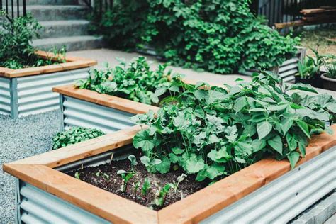 How To Build Raised Planter Boxes Twigandthistle