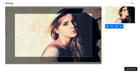 Cropper Forked Codesandbox