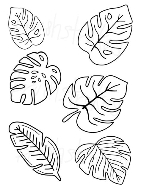 Printable Monstera Leaf Outline Printable Templates