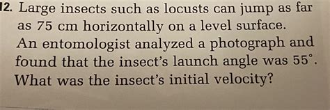 [projectile Motion] Can Someone Explain How To Find The Initial Velocity Of Something When Given