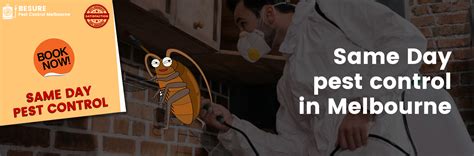 Pest Control Melbourne Same Day Pest Control Services