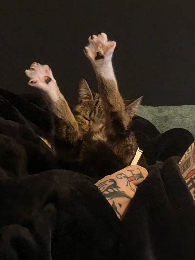 Nap Time… Tumbex