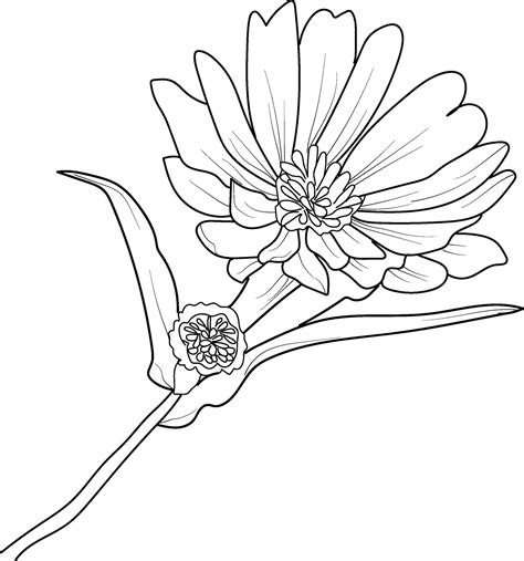 Minimalist Aster Flower Tattoo Black Aster Tattoo Small Black Aster Tattoo Aster Flower