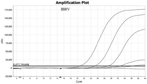 Primer Probe Combination And Kit For Detecting Bovine Respiratory Diseases And Application Of