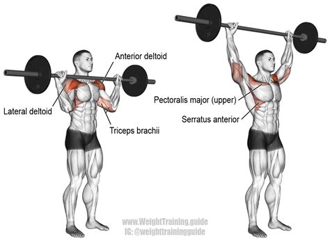 Barbell Overhead Press A Major Compound Exercise Thatll Help You To