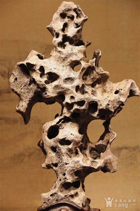 白描太湖石 白描石头 大山谷图库