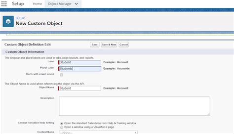 What Is Object How To Create Custom Object In Salesforce Salesforce Lightning Web Components