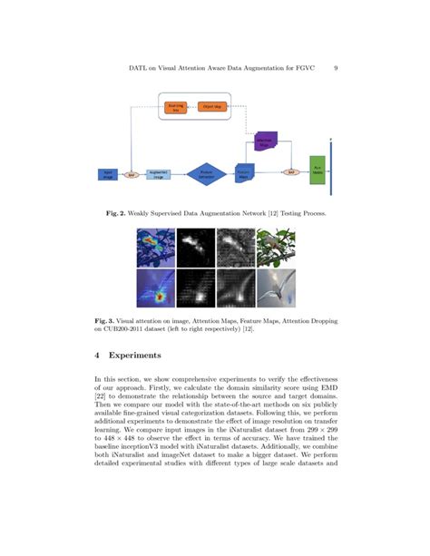 domain adaptive transfer learning on visual attention aware data