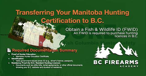 Cartridge Firing Sequence