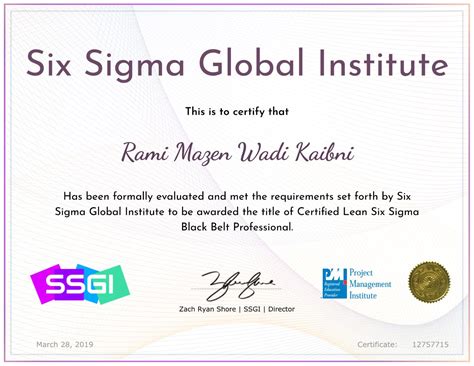 Six Sigma Black Belt Certification
