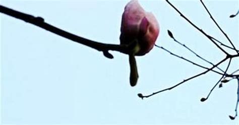 枝江代开医疗增值税发票 Imgur