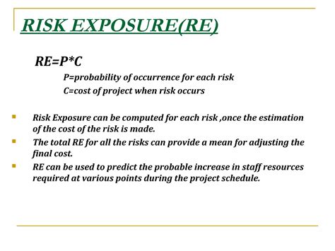 Risk Management Software Engineering Ppt