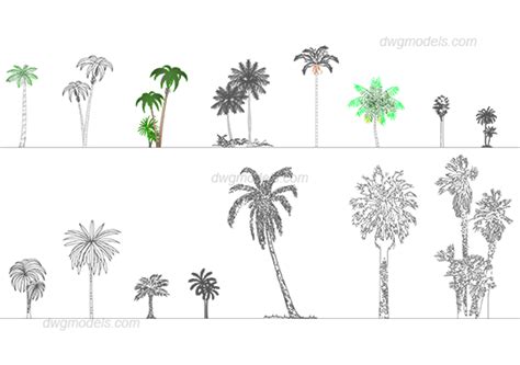 Palms DWG Free CAD Blocks Download