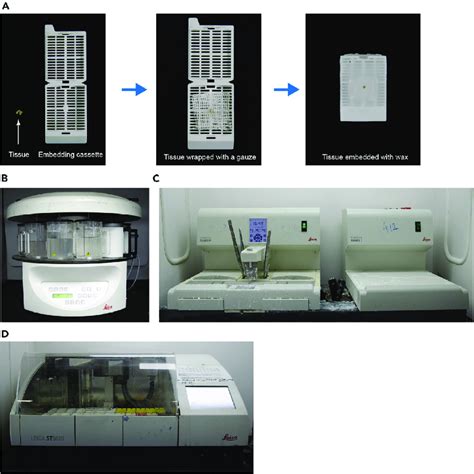 Instruments For Paraffin Section Preparation And Staining A Tissue Download Scientific