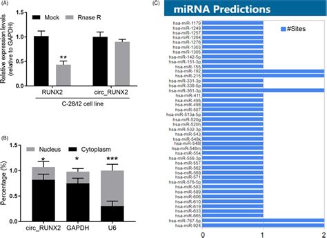 Biological Function Analysis Of Circrunx2 In Oa A Circrunx2 Has