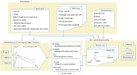 Workflow From The Field Data Collection To The Data Preprocessing