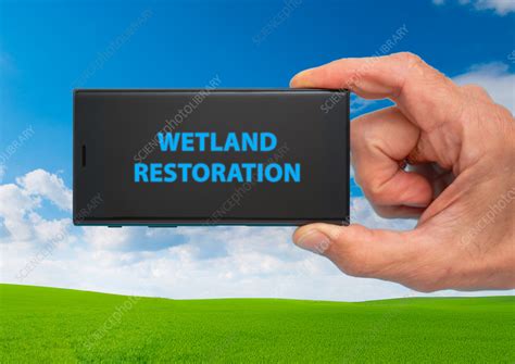 Wetland Restoration Stock Image F0441670 Science Photo Library
