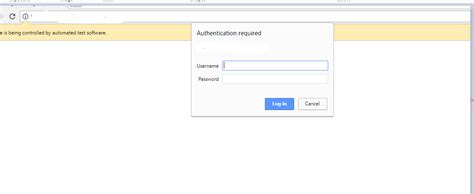 How To Handle Browser Authentication For Intranet Sites In Chrome