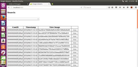 Javascript How To Retrieve Image From A Web Server Url Path To