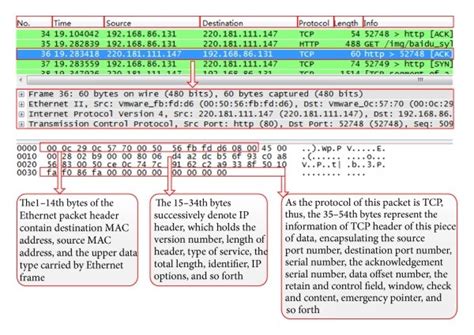 Parse Packets Result From Wireshark Download Scientific Diagram