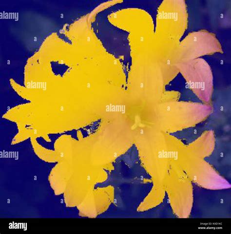 This Title Appears To Be A Code Or Reference Related To An Html File Or