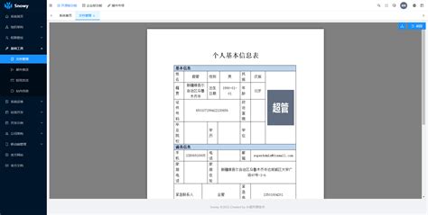 💖这波更新让接活更快一步，snowy V2 2 14 已发布 Oschina 中文开源技术交流社区