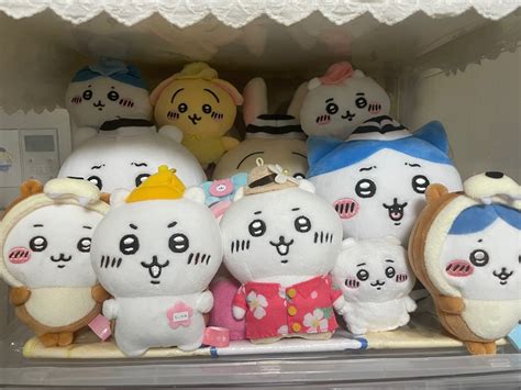 치이카와 🥹🐹 ️ 콜리 Colley