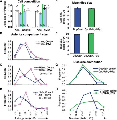 Figure 1 From Drosophila Myc Regulates Organ Size By Inducing Cell
